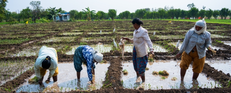 How to use the GAIA principles to end GBVH in commercial agriculture ...